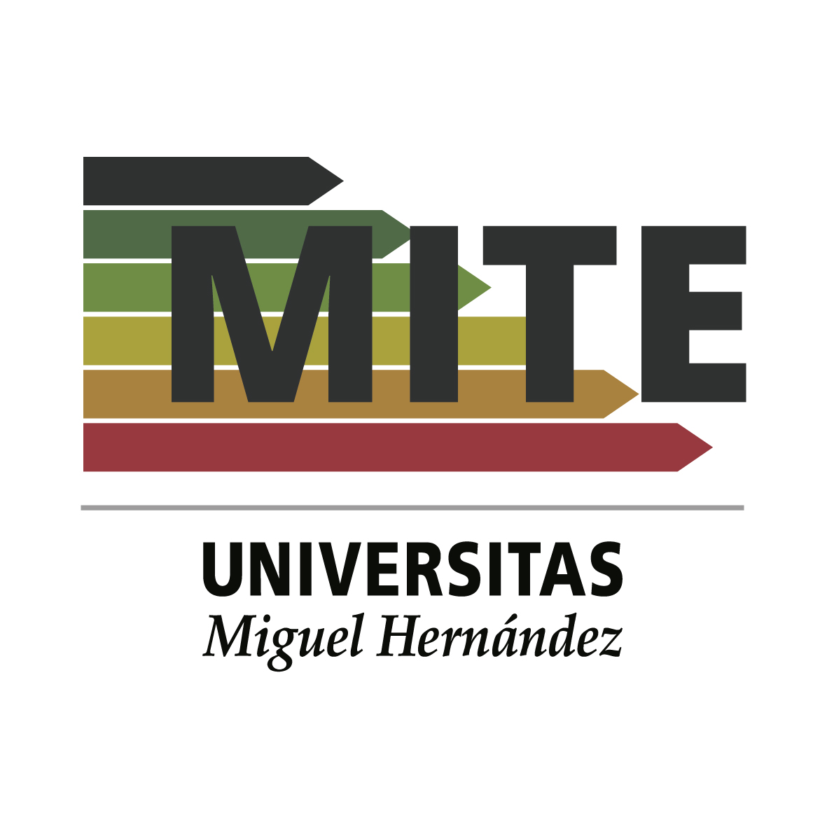 Logo MITE-capa - Máster Universitario en Instalaciones Térmicas y ...