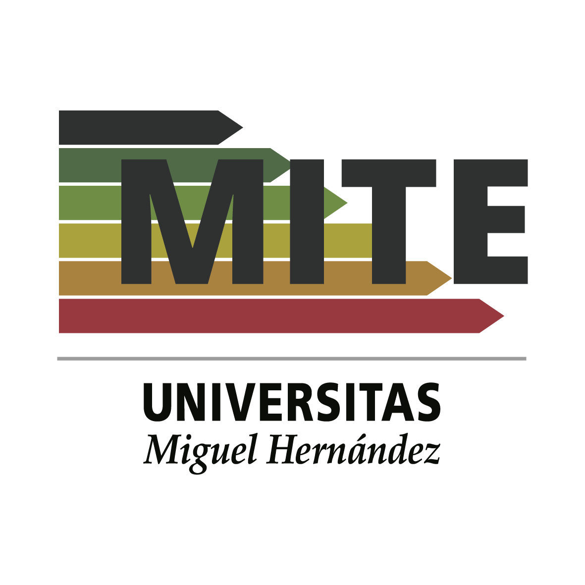 Jornada de bienvenida del curso 2019/20 al MITE UMH